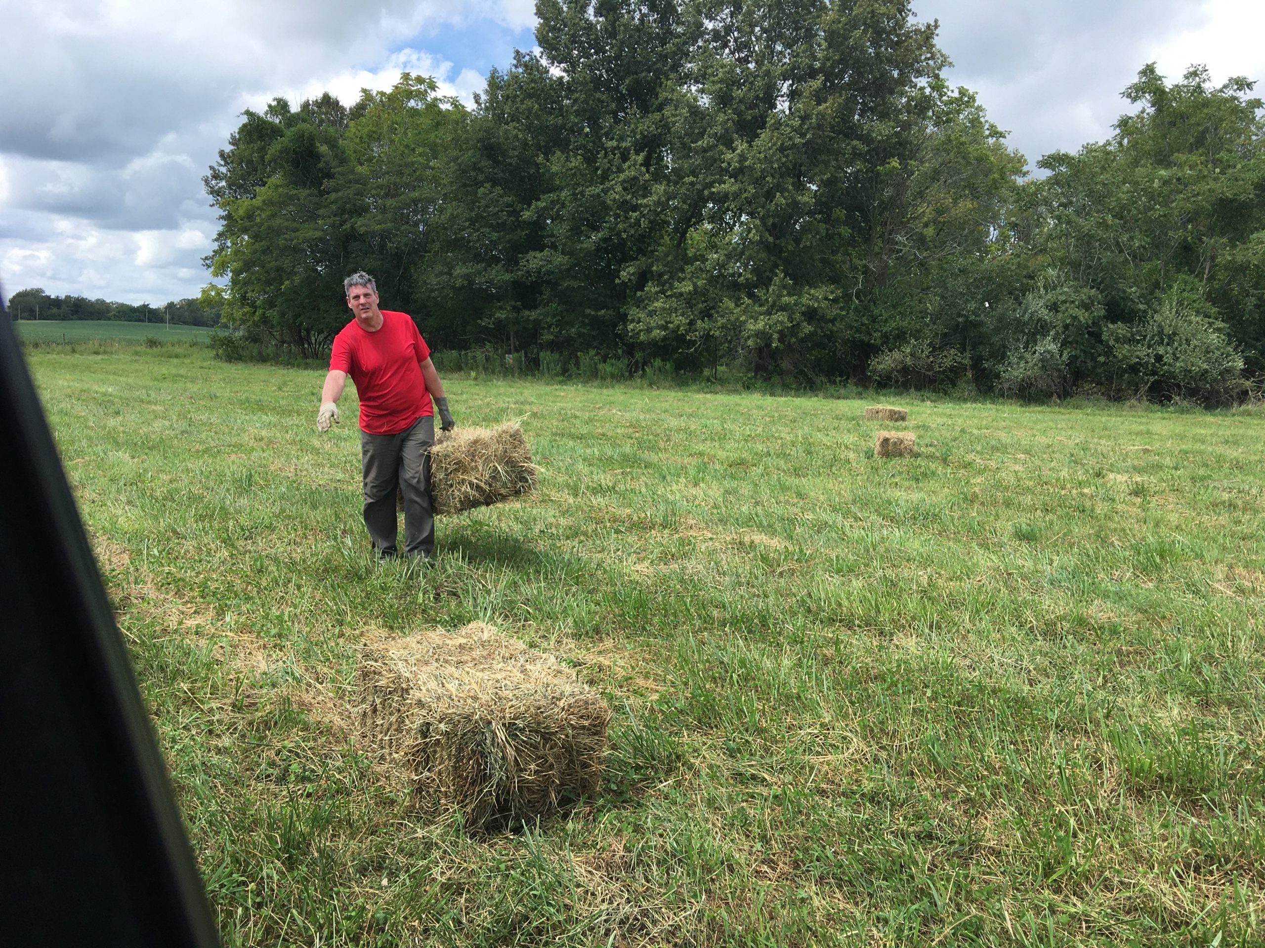 Why a Farming Blog? - Buttercup Ranch and Creamery